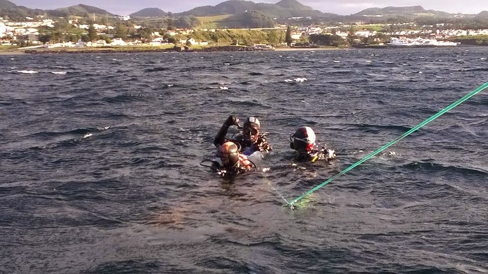 Best Spot Azores PADI 5* Dive Center: Dive Azores Buceo Azores Plongée ...