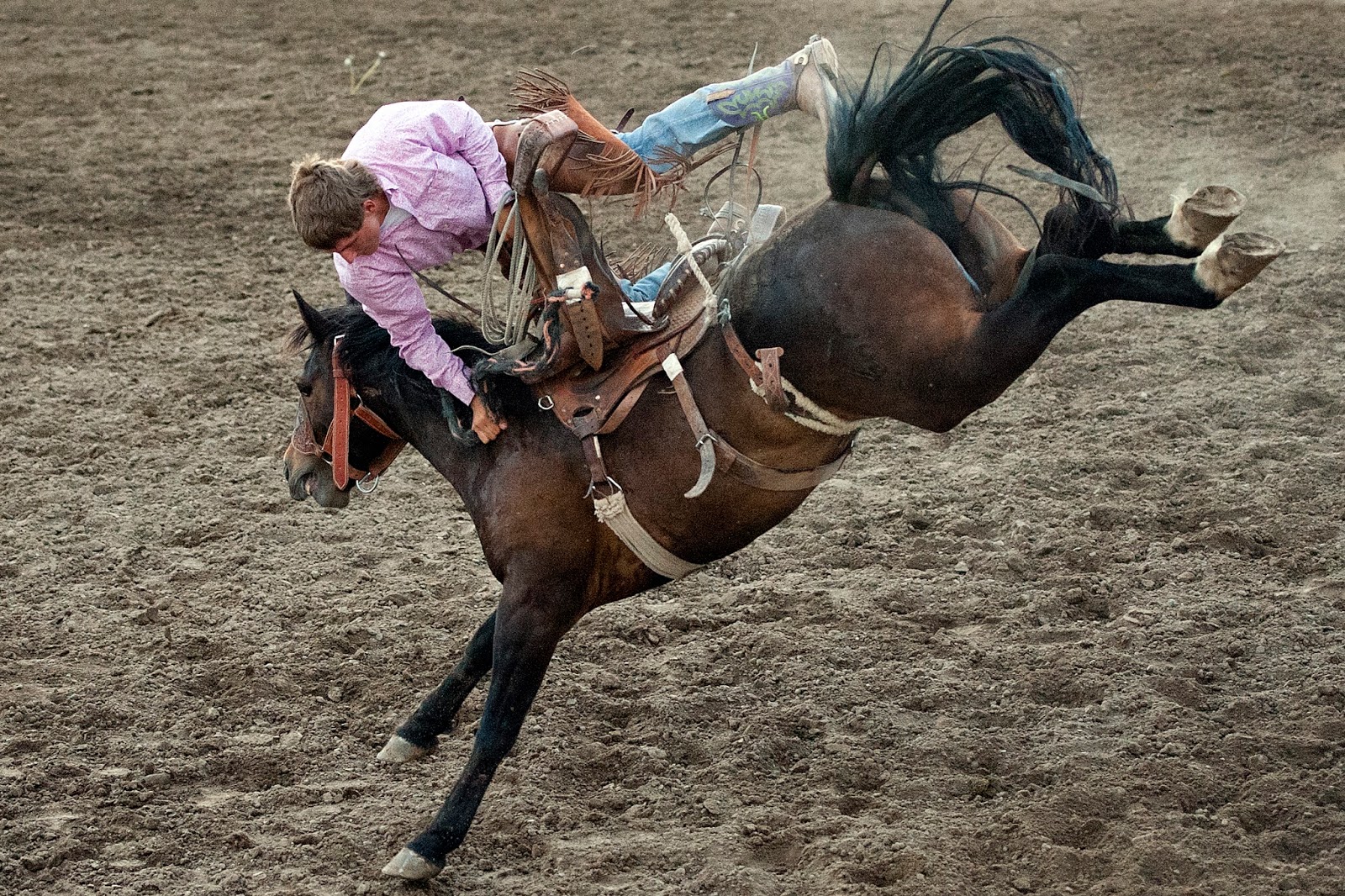 no bupkis: Buckin' good time at the Vale 4th of July Rodeo