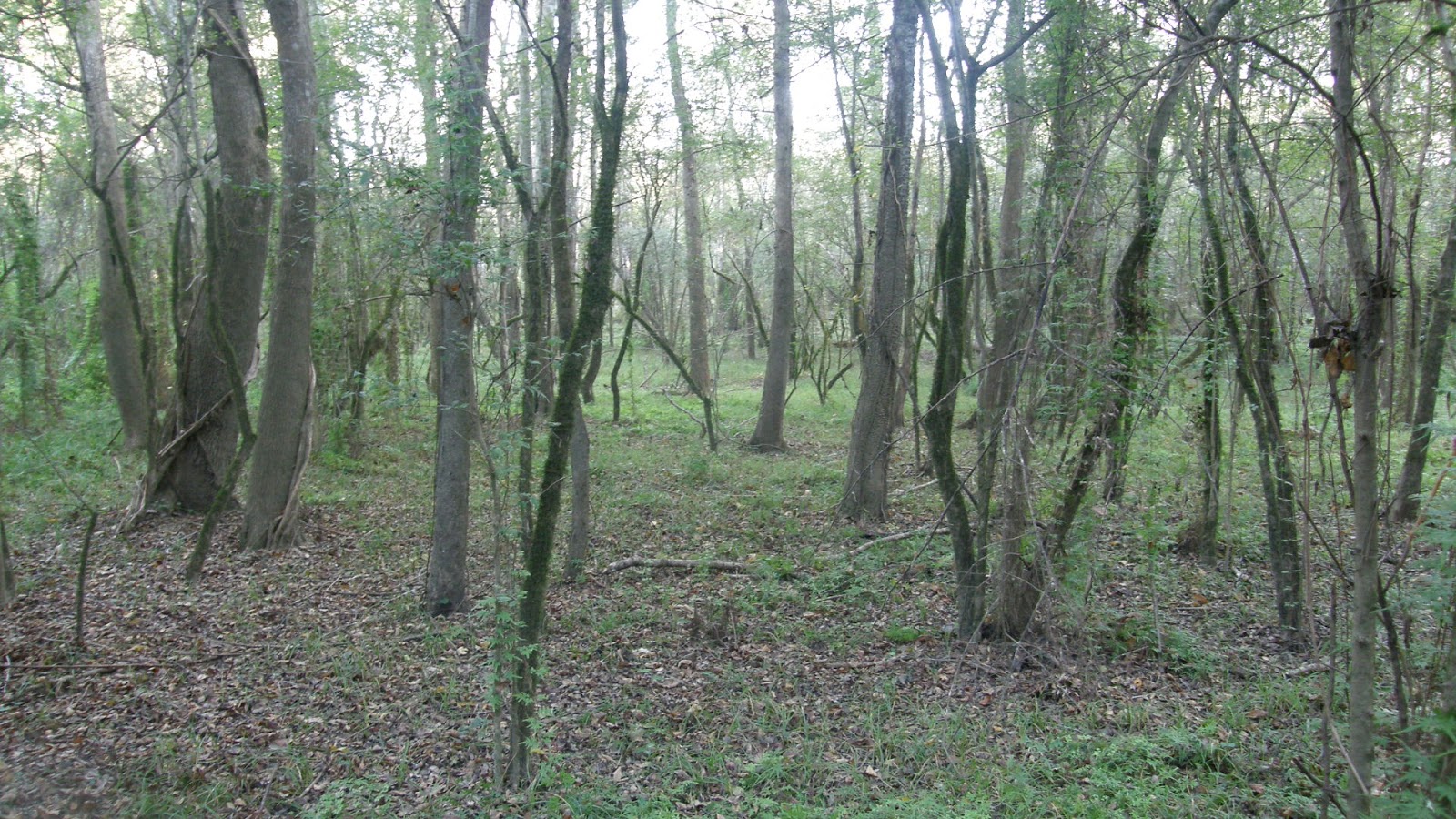 Kints: Poking Around Booger Hole Slough: 25 September 2015