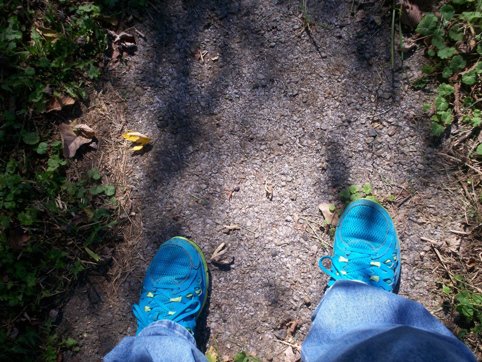 Indiana's Forgotten Past: Jungle Park Speedway