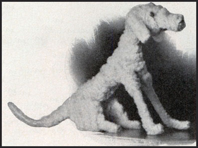 Bend a pipe cleaner puppy | Art Education Daily