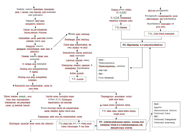 Seputar Dunia Keperawatan: PATHWAY KOMPREHENSIF PADA ANAK DENGAN DIARE