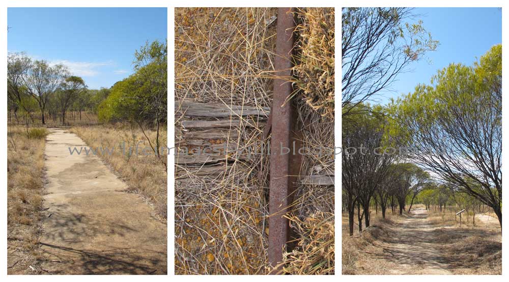 Life Images by Jill: Camping out in the Western Australian wheatbelt ...