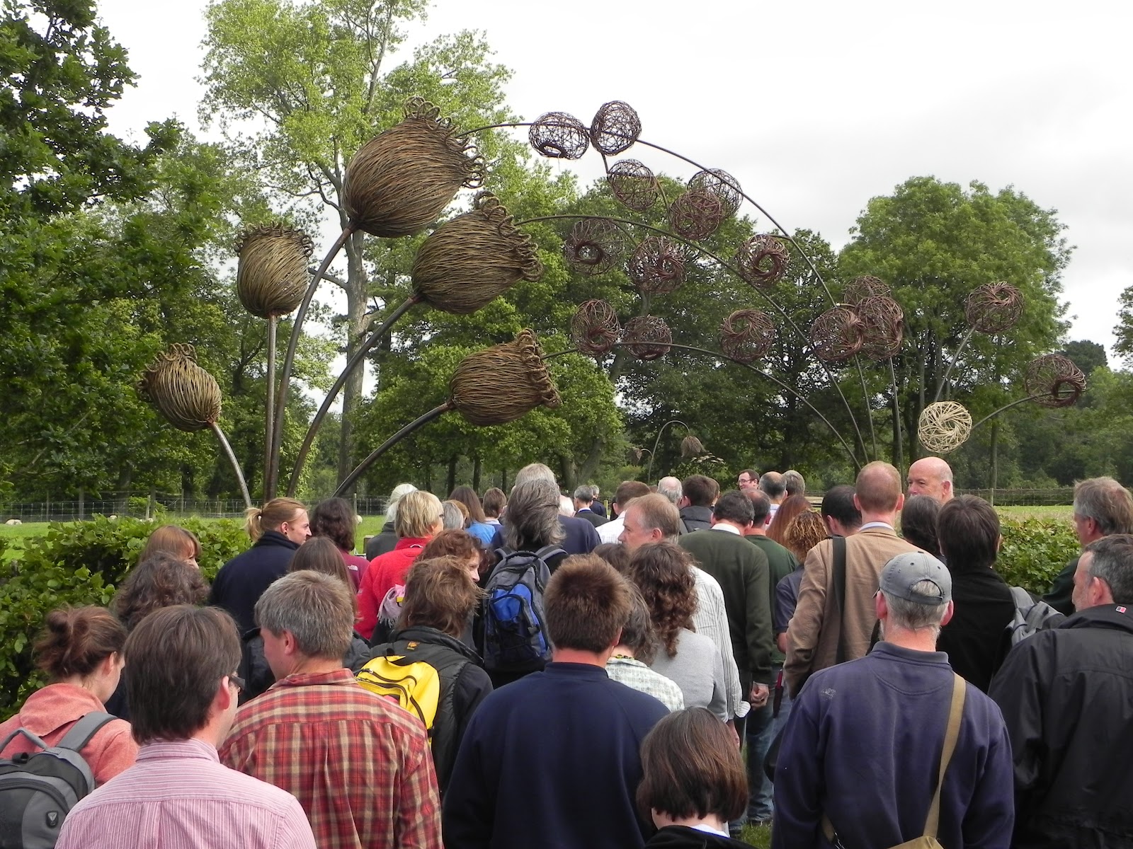 Tom Hare, Willow man: UK Native Seed Hub at Wakehurst Place.
