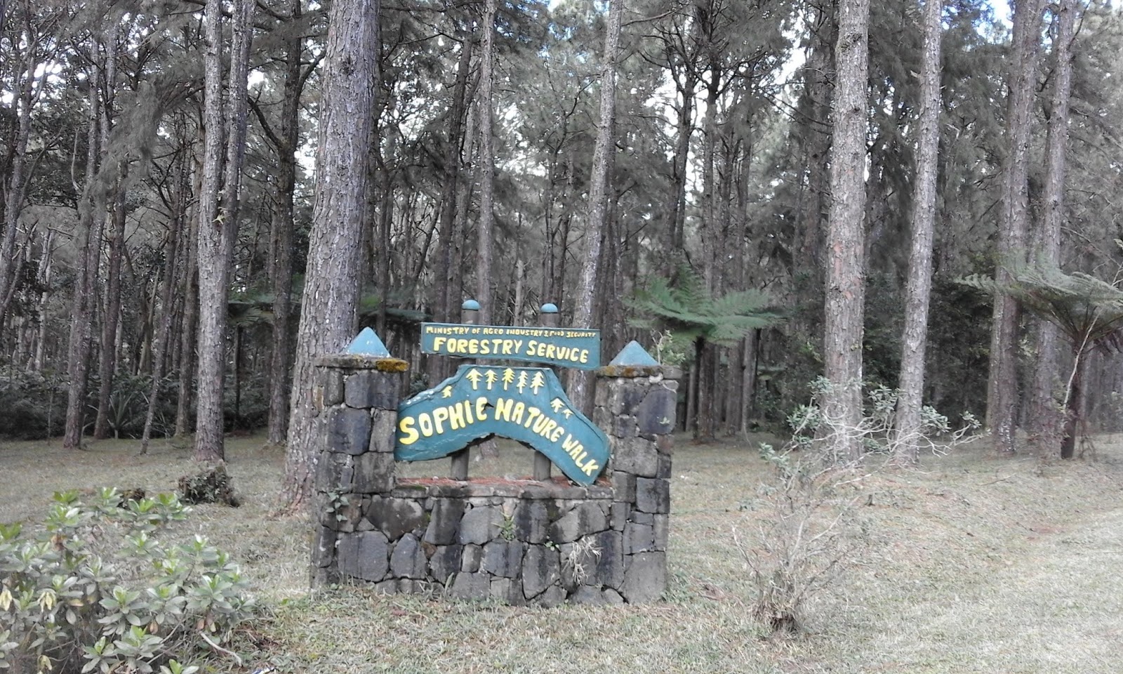 FORESTRY IN MAURITIUS: SOPHIE NATURE WALK