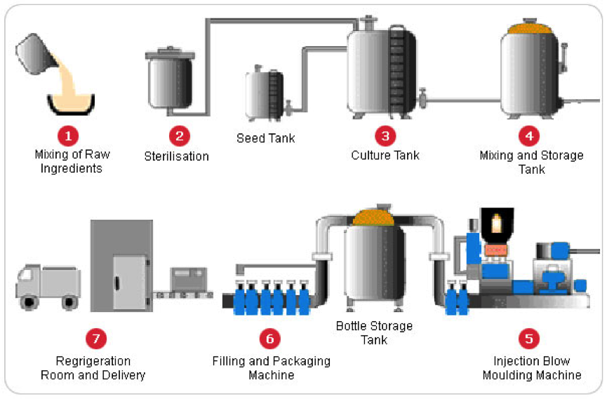 A trip to Yakult Factory ~ Velynia Aviera