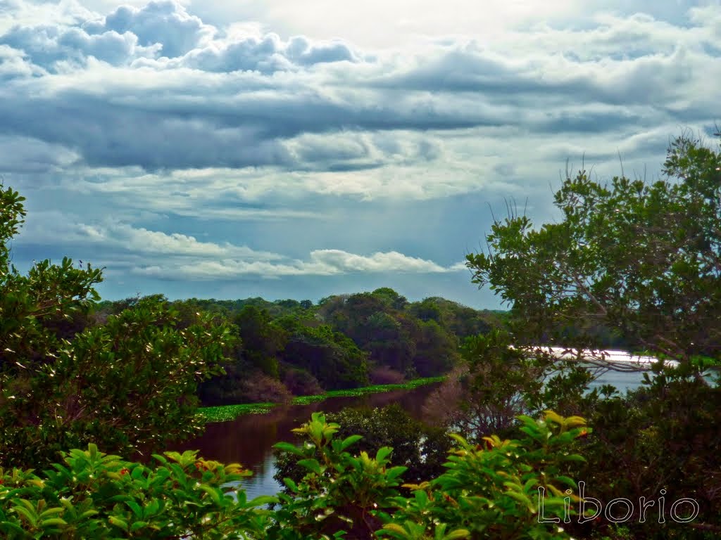Parque Nacional Cinaruco Capanaparo
