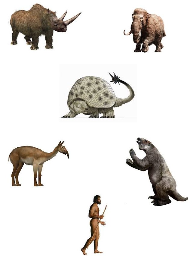 Período Cuaternario ~ Historia geológica de la tierra con Arturo ANONYMOUS