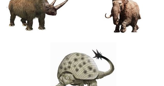 Período Cuaternario ~ Historia geológica de la tierra con Arturo ANONYMOUS