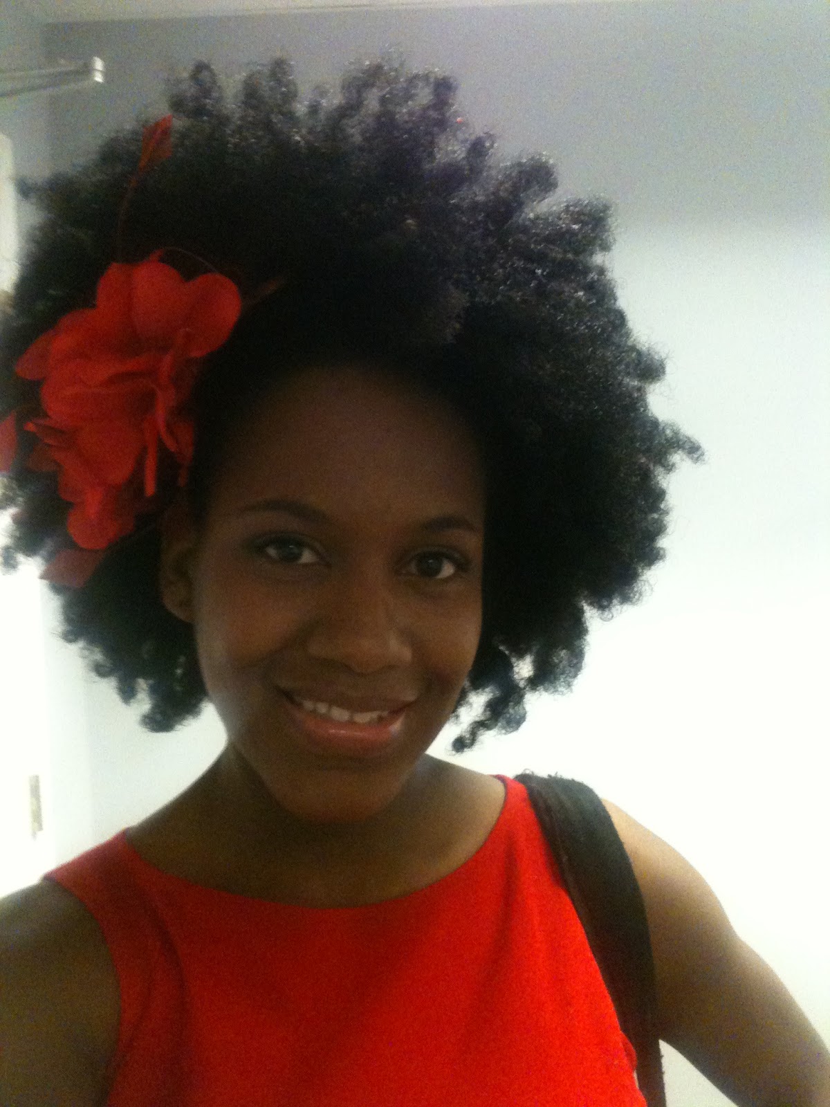 Afrodeshiak...The Kinky Life: Kinky Hair Wigs and Weaves for Naturals