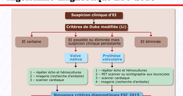 médecine et maladies infectieuses: Endocardite infectieuse : Révision ...