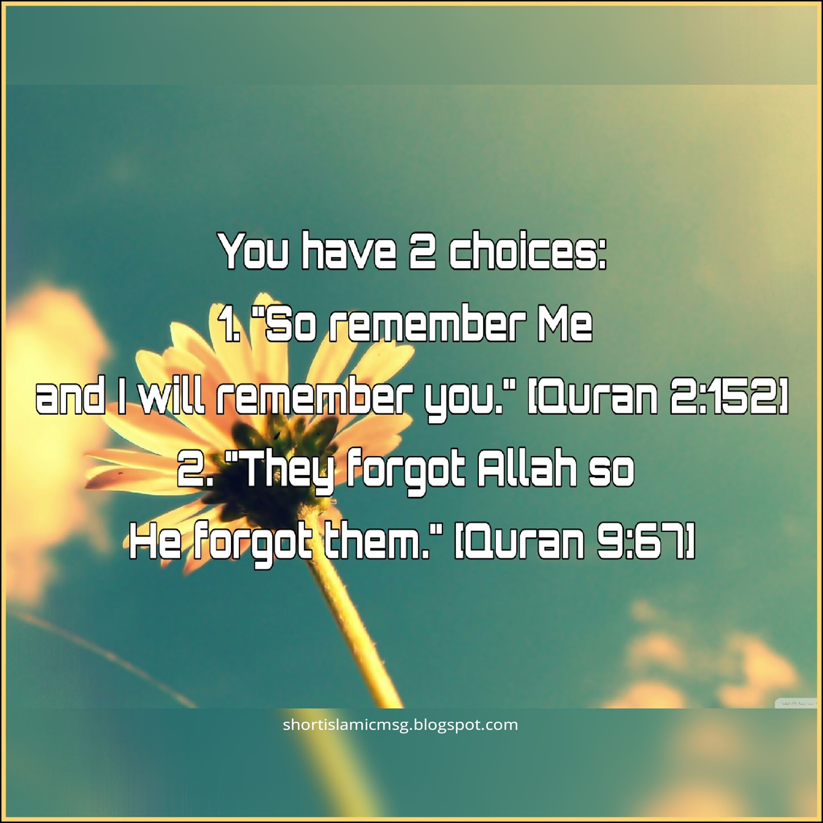 Remember Allah and Allah Will Remember You - Islam