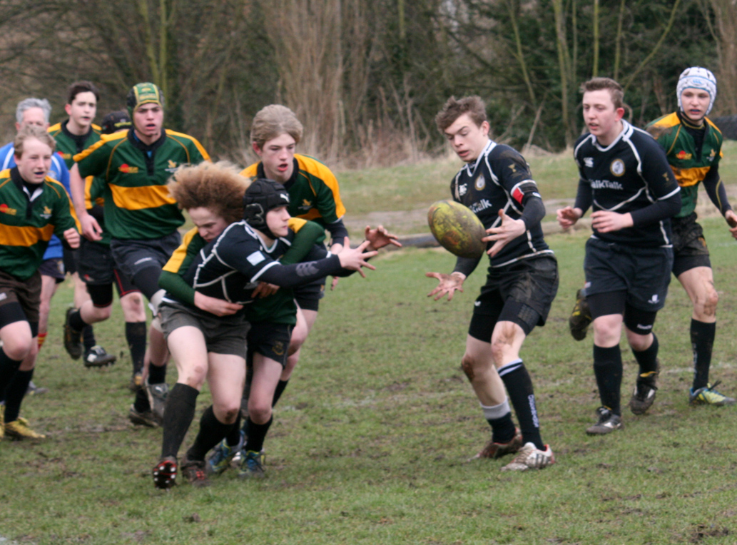 Holt Rugby Club Under 16s: Eastern Counties three way competition.