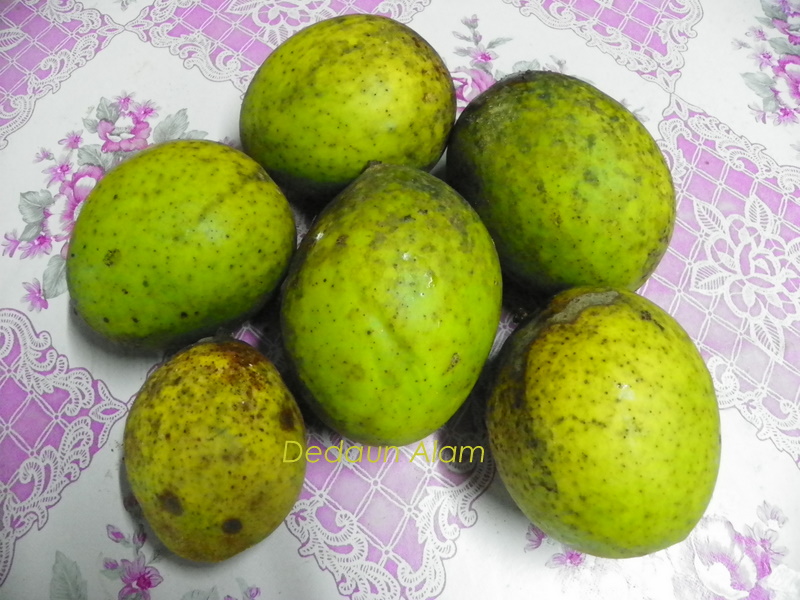 Dedaun Alam: Horse Mango