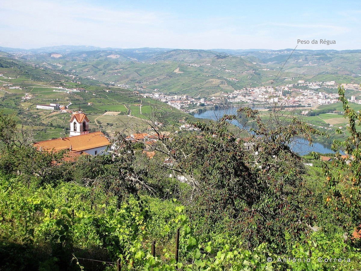 Entre DOURO e MINHO
