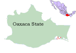 Grupos indígenas de México "HUAVE": Gómez Martínez Estefany Lizbeth.