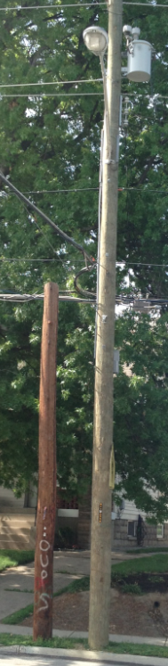The World According to Bruce: 150+ OUPS utility poles in Norwood, Ohio?