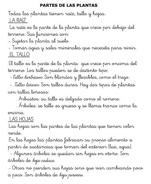 RECURSOS y ACTIVIDADES para Educación Infantil: Las Partes de las ... RECURSOS y ACTIVIDADES para Educación Infantil: Las Partes de las ...