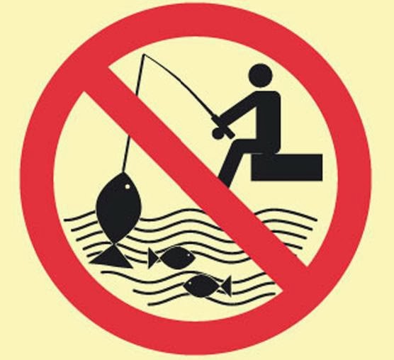 pasiuni 011: Prohibitia la guvid in Marea Neagră 2017