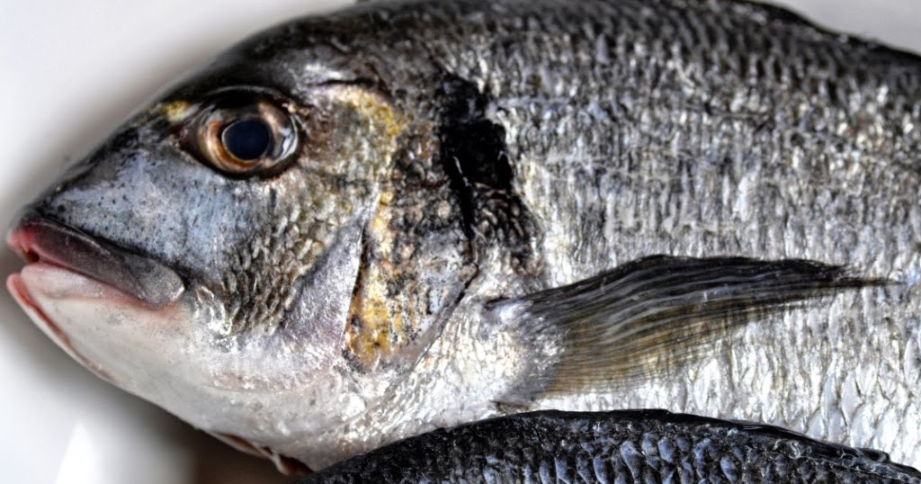 Bretonische Doraden - Kubiena - Kochblog