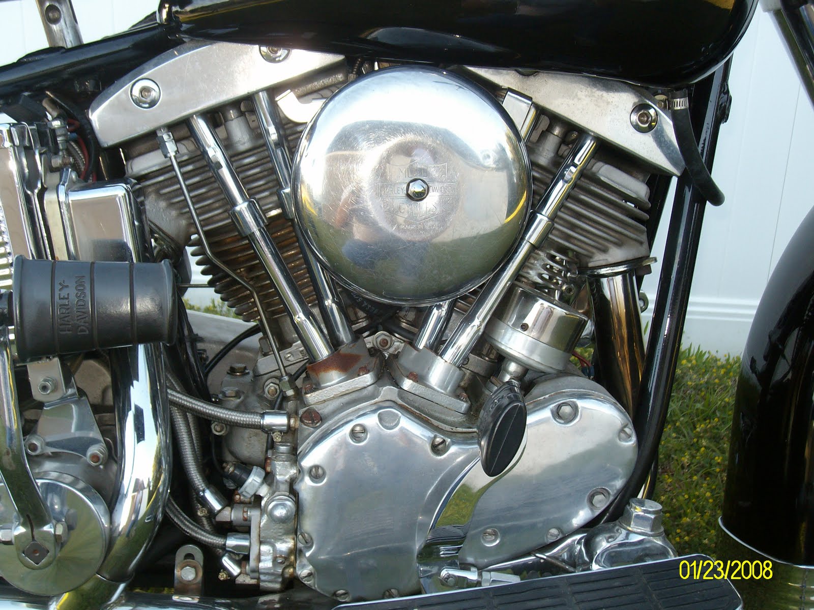 Born Loser: 66 Shovelhead