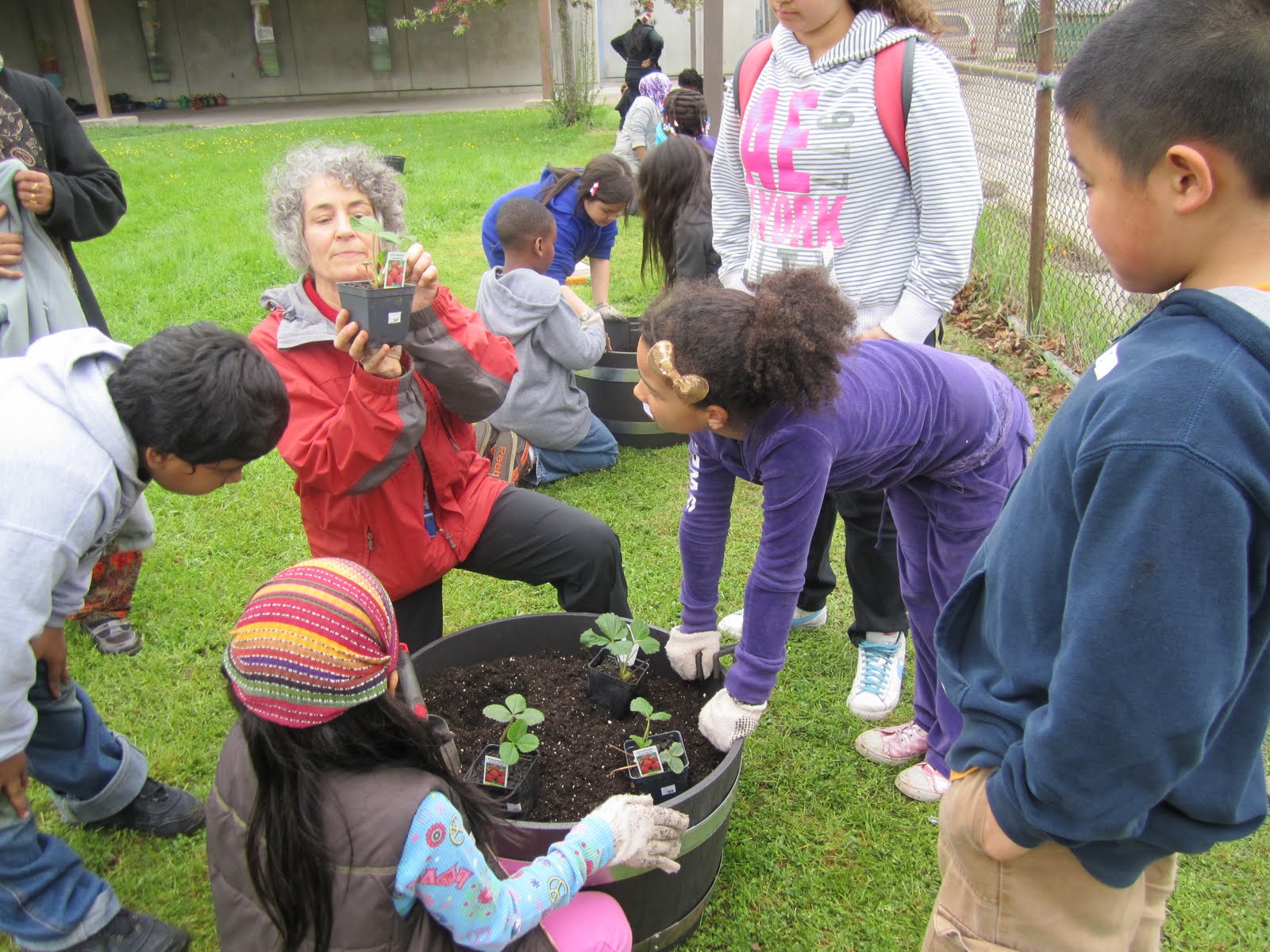 George Syme Community School Garden Club: May 2011