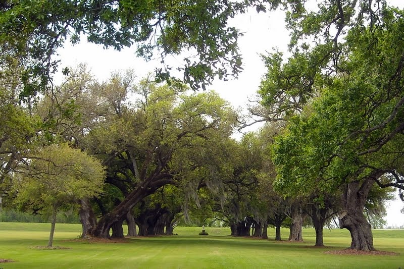 Have Retirement. Will Travel.: River Road: Best and Worst Scenery