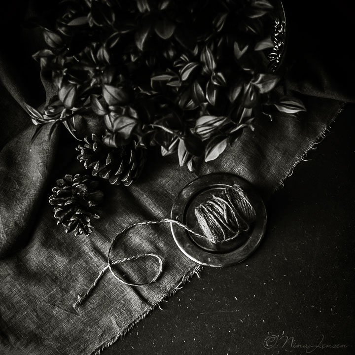 Thoughts and Images Along the Way: Still Life Photography [Sidelight ...