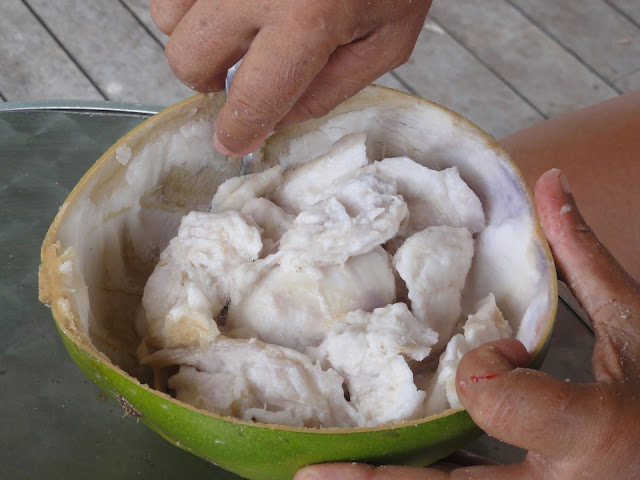 Persil et oignon pays: Calebasse et kwi