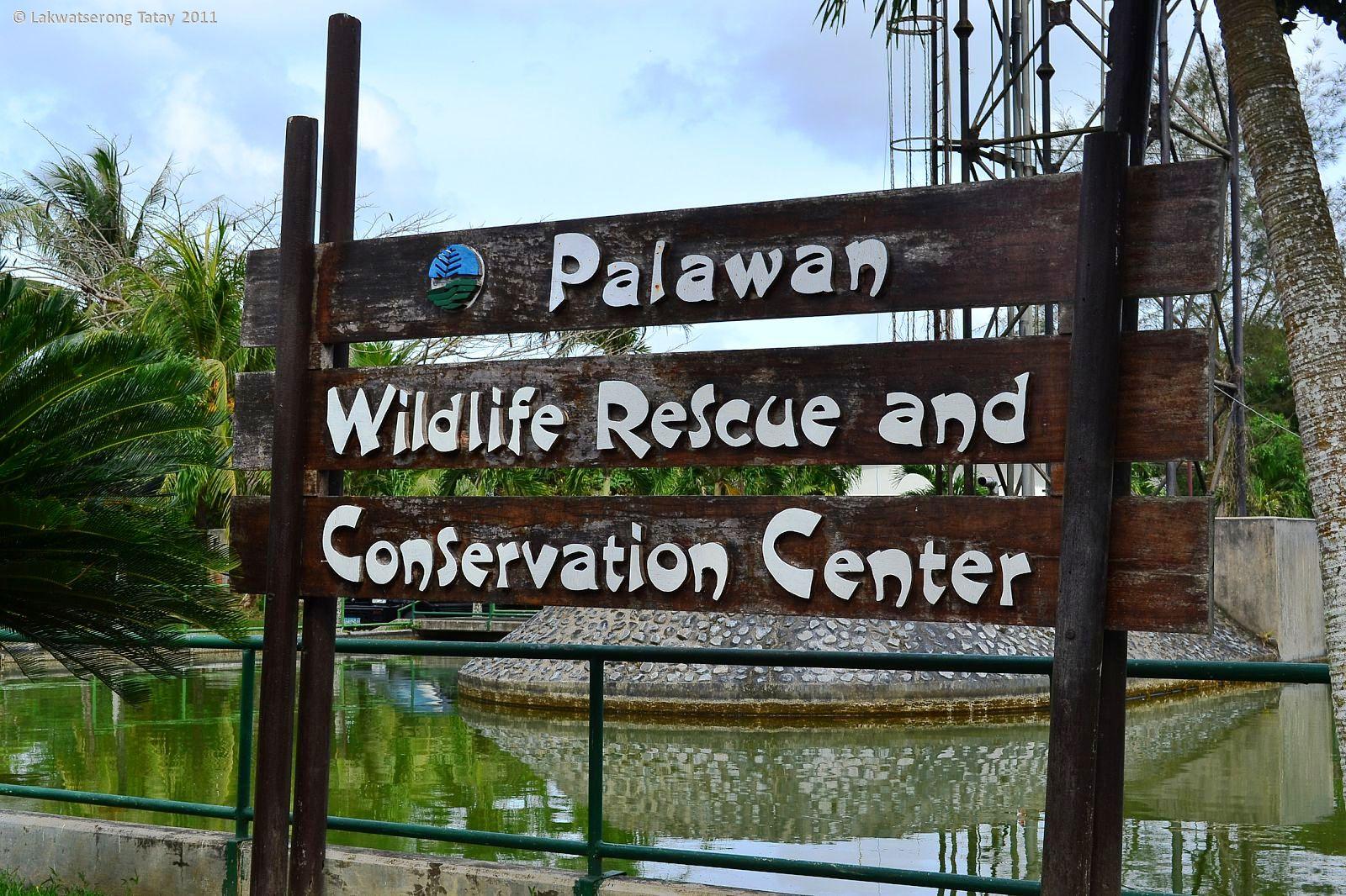 Meet the X-plorers: Palawan's Crocodile Farm
