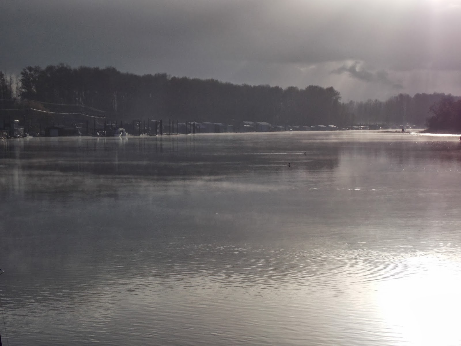Alaskan Sea-Duction: Floating Turds