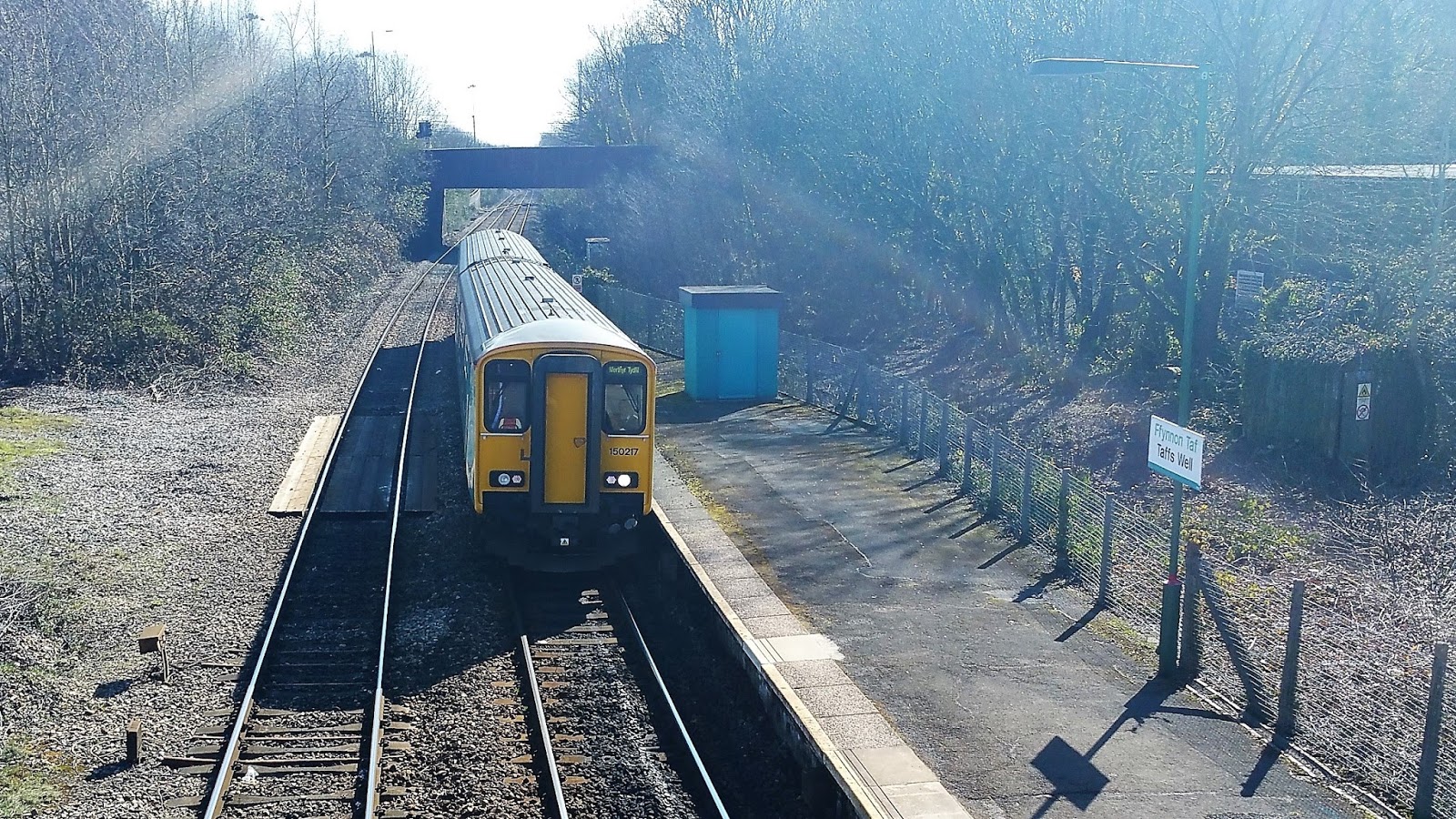 Chronicles of the Berkshire Pig: Cwm Bargoed