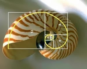 Curiosidades Matemáticas: Número de oro