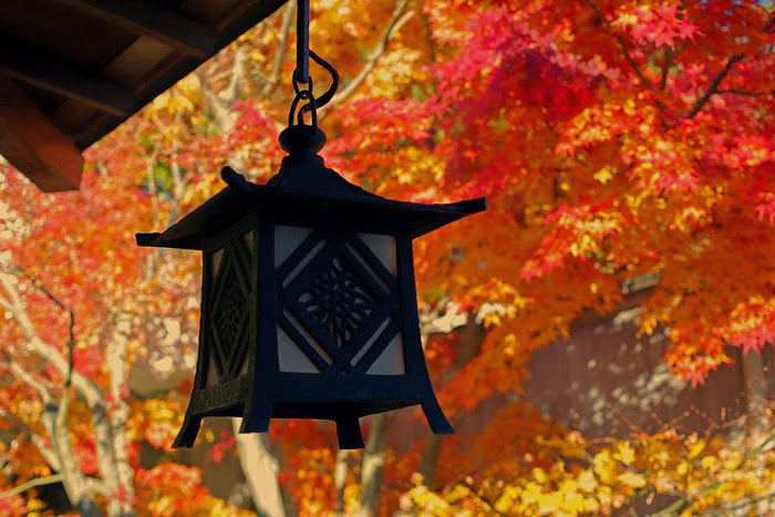 Yusuke Japan Blog: Tourou (Japanese lantern)