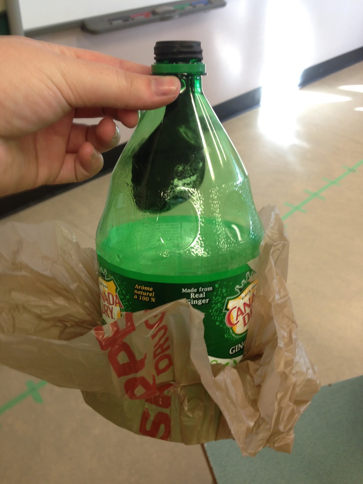 Middle School Science: Making a Model of the Respiratory System using a ...