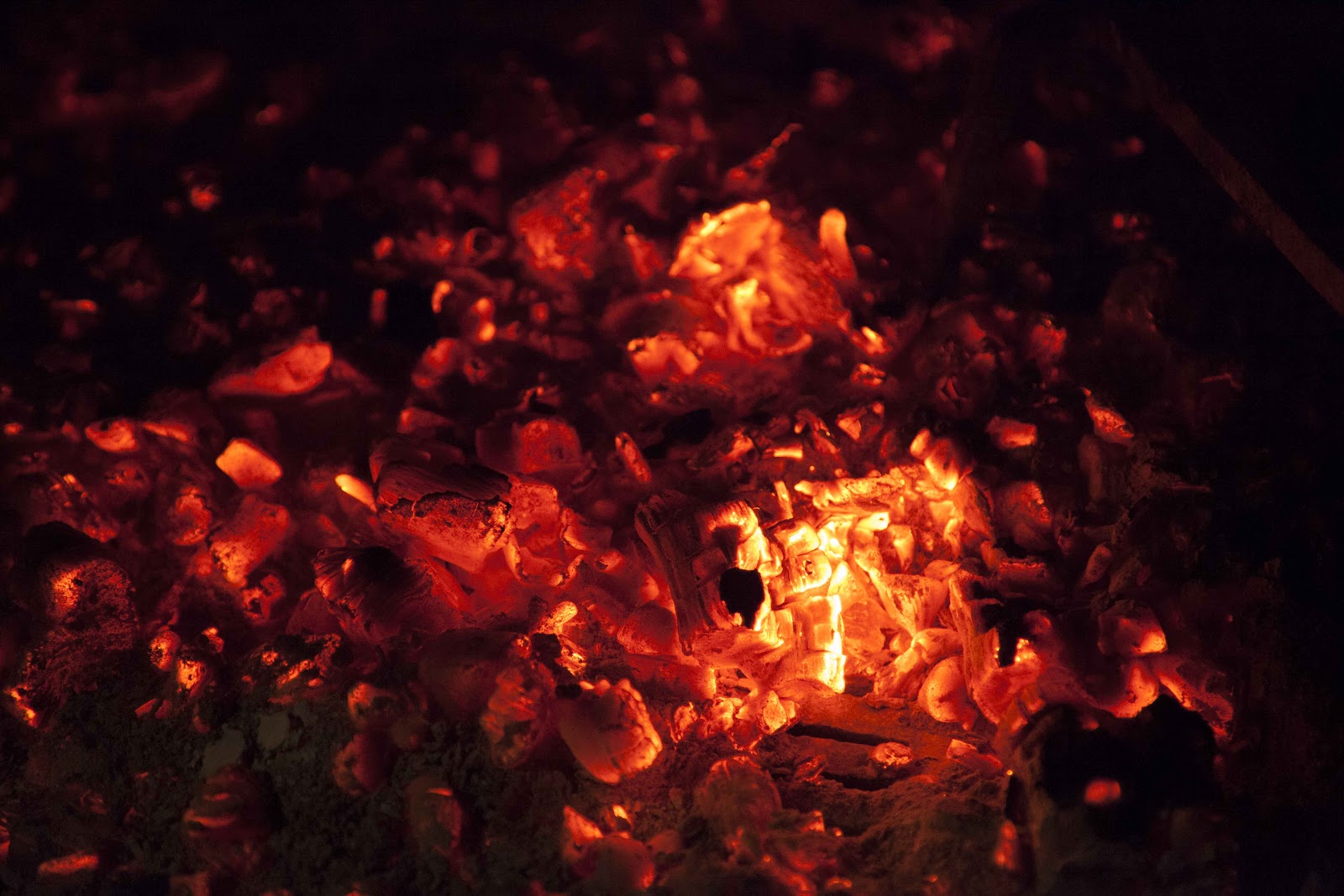 INSTANTES Blog: Brasas