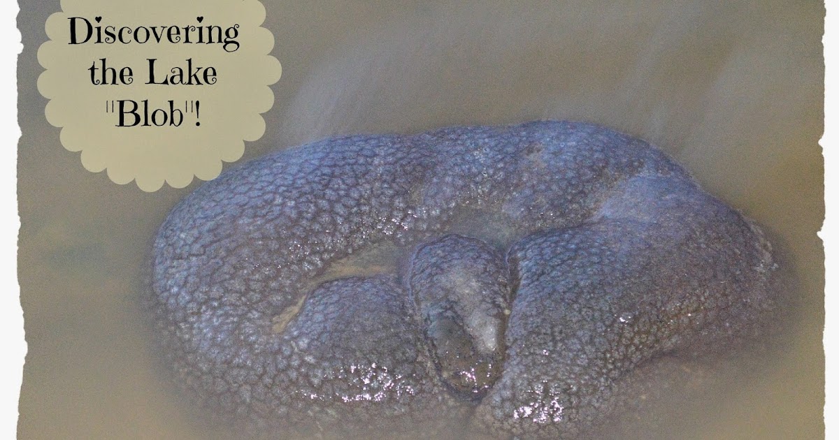 Solagratiamom: Discovering the Lake "Blob"