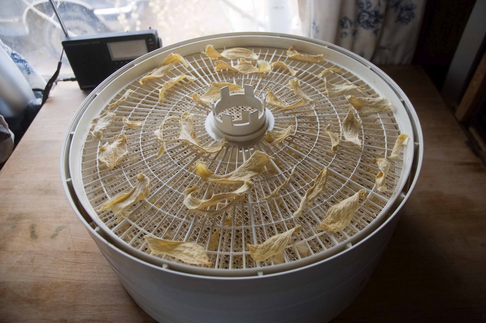 Dehydrating Way Beyond Jerky: Ginger