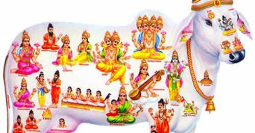 Bol Choth 2025 Date - Significance of Bol Chauth Vrat in Gujarat ...