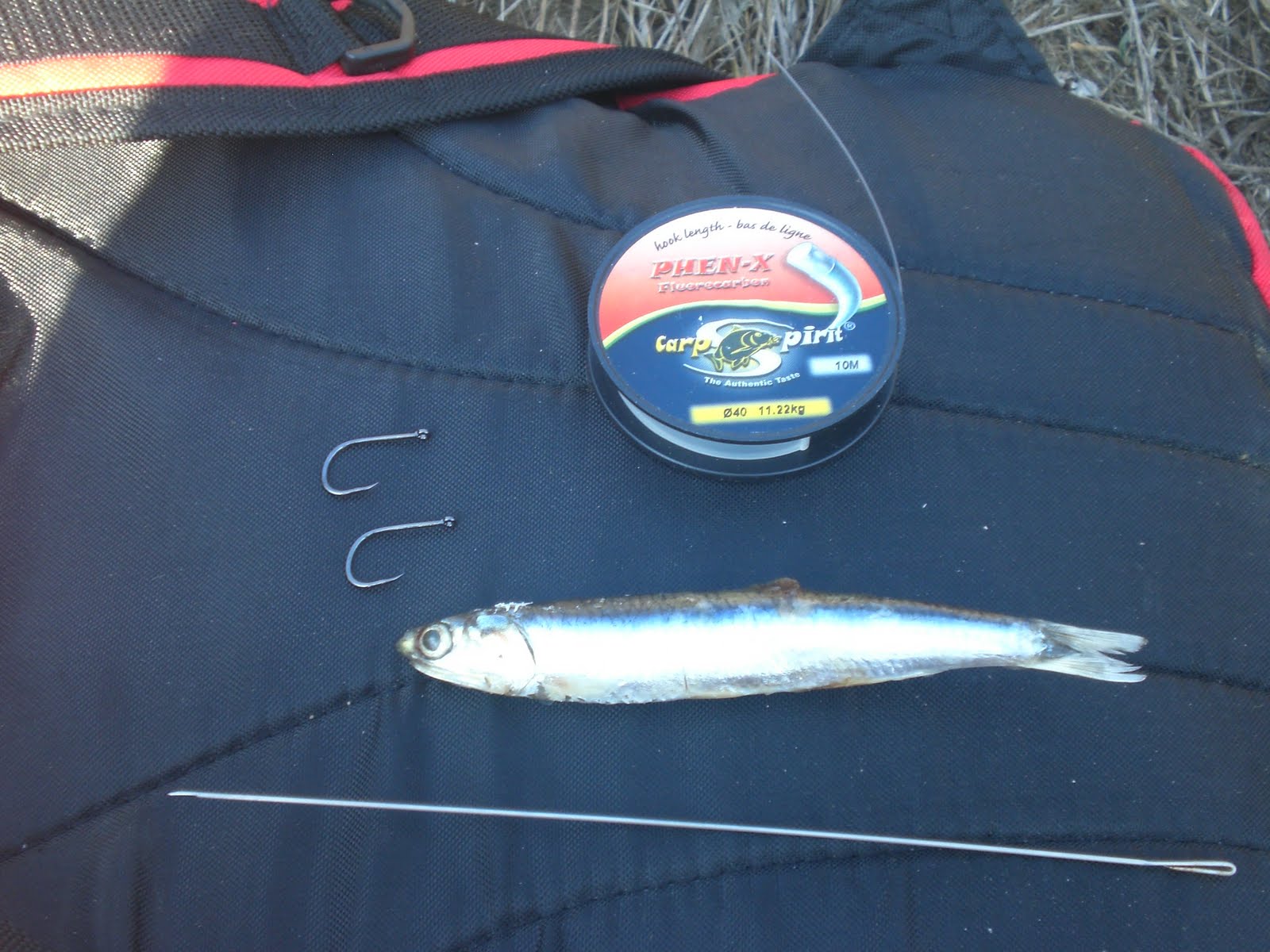 la dura vida de un pescador sin tiempo: Montaje pez muerto