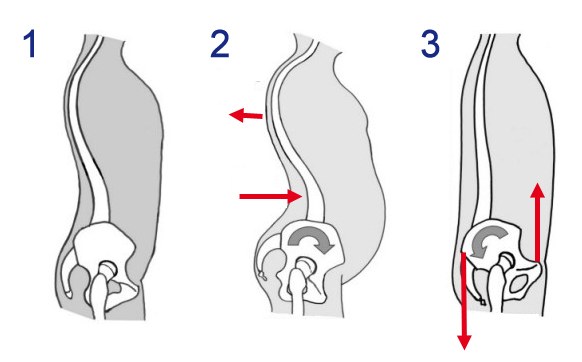 REEDUCACIÓN POSTURAL Y DE MOVIMIENTO