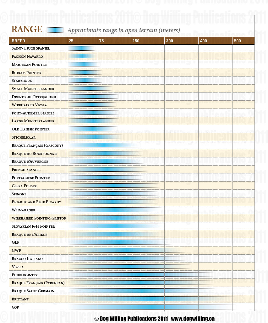 Pointing Dog Blog: On Range