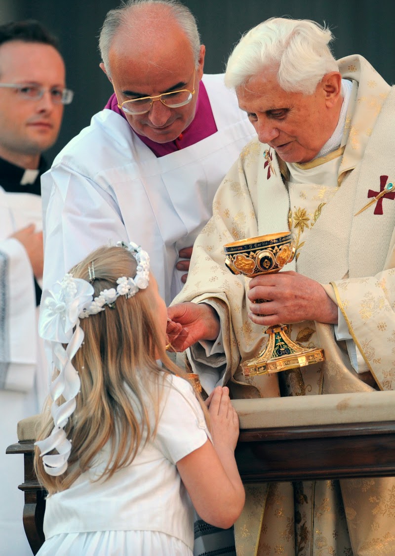 Confraternity of Penitents' Blog: Homily for First Holy Communion Sunday