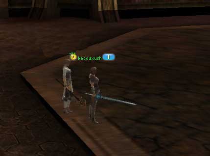 My Shaiya Fighter Character Build Guide