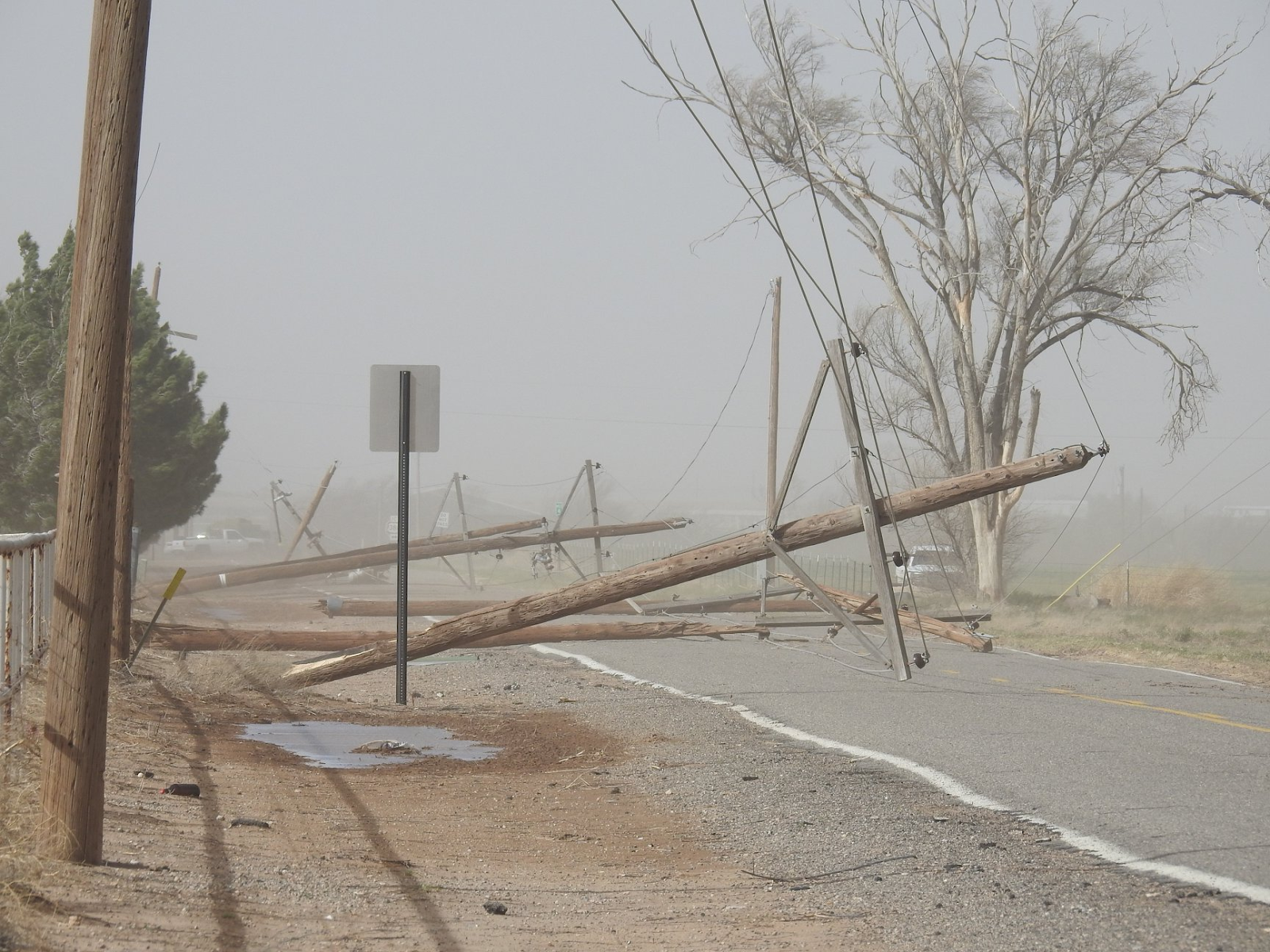 High Wind Event March 13th 2019.