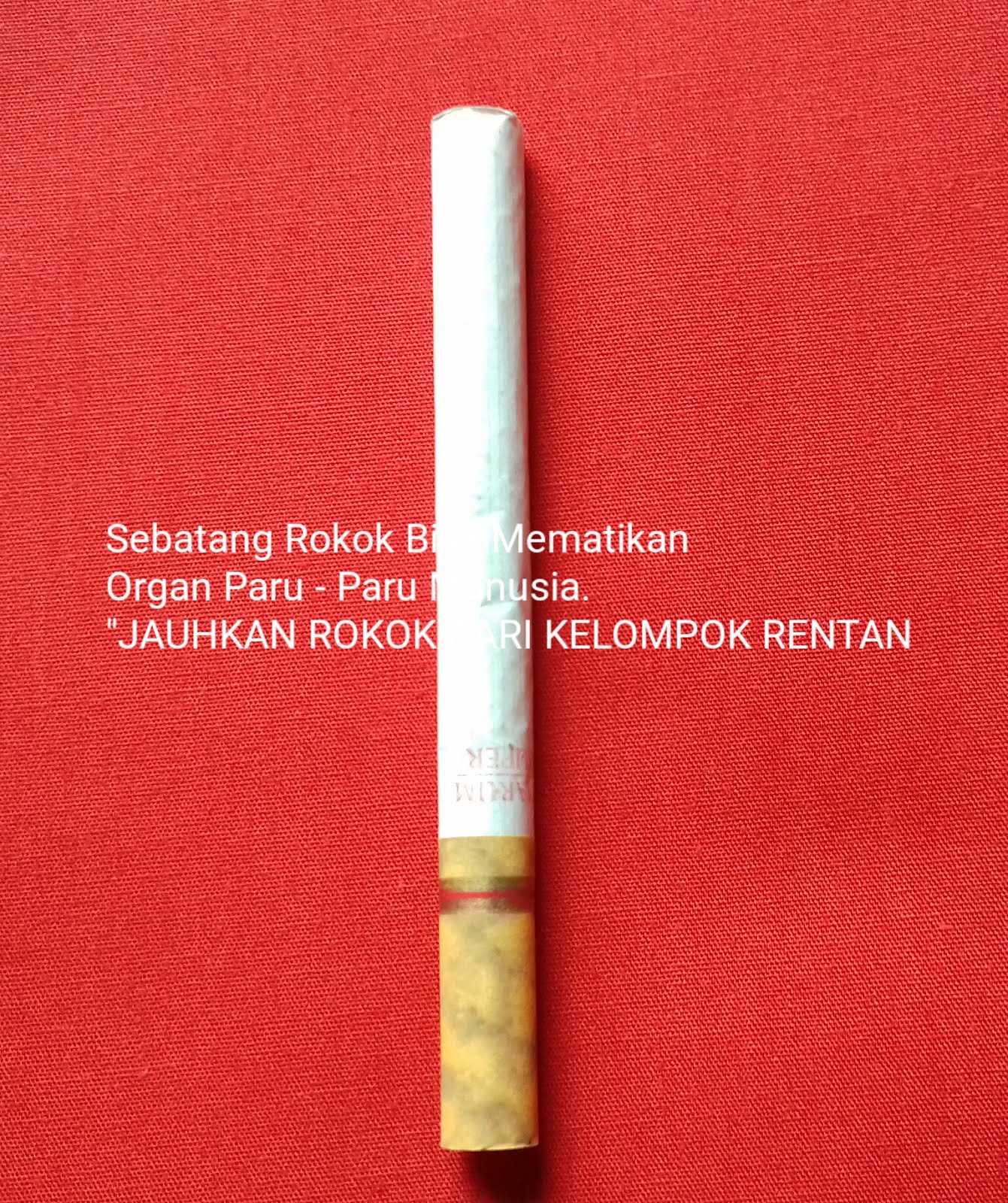 Sumiyati Sapriasih: Jauhkan Rokok Dari Kelompok Rentan