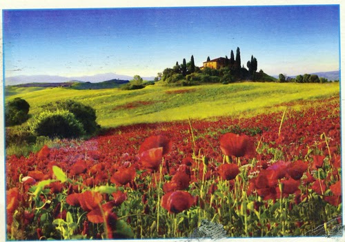 Little Red Mail Box: Field of Poppies