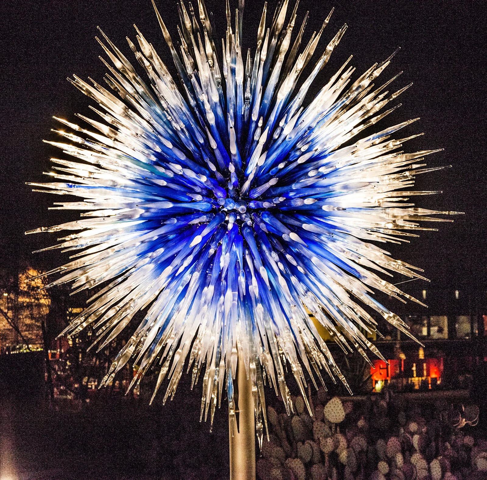 Walking Arizona: Blue Star