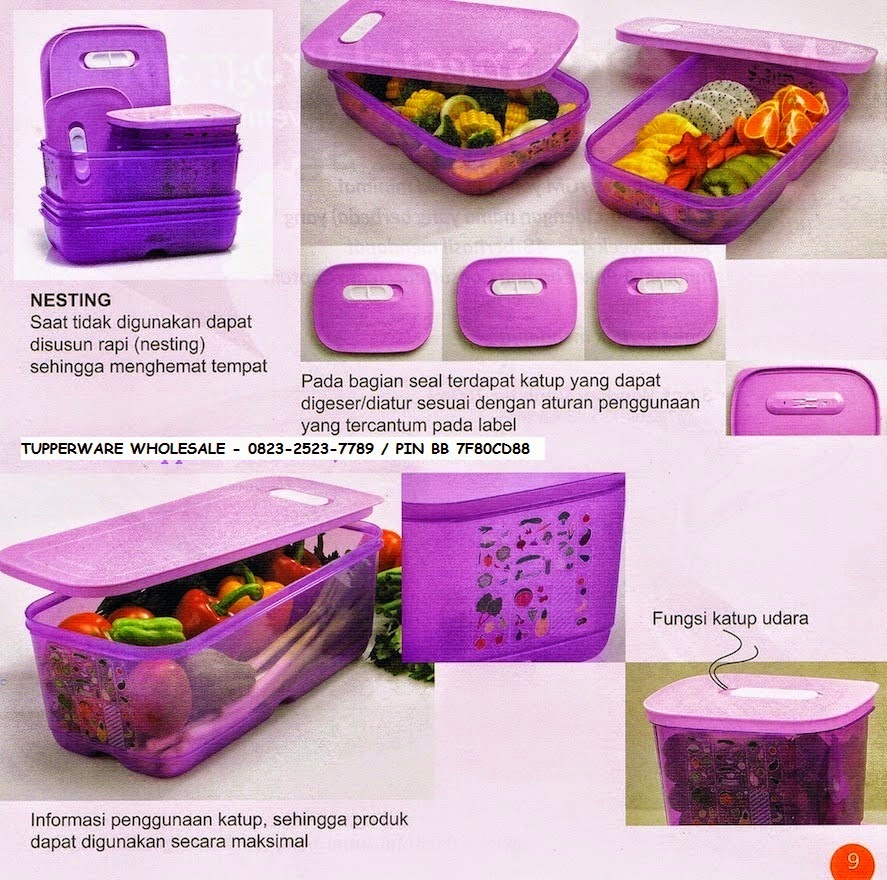 Tupperware Wholesale (Jakarta): VENTSMART (ACTIVITY TUPPERWARE ...