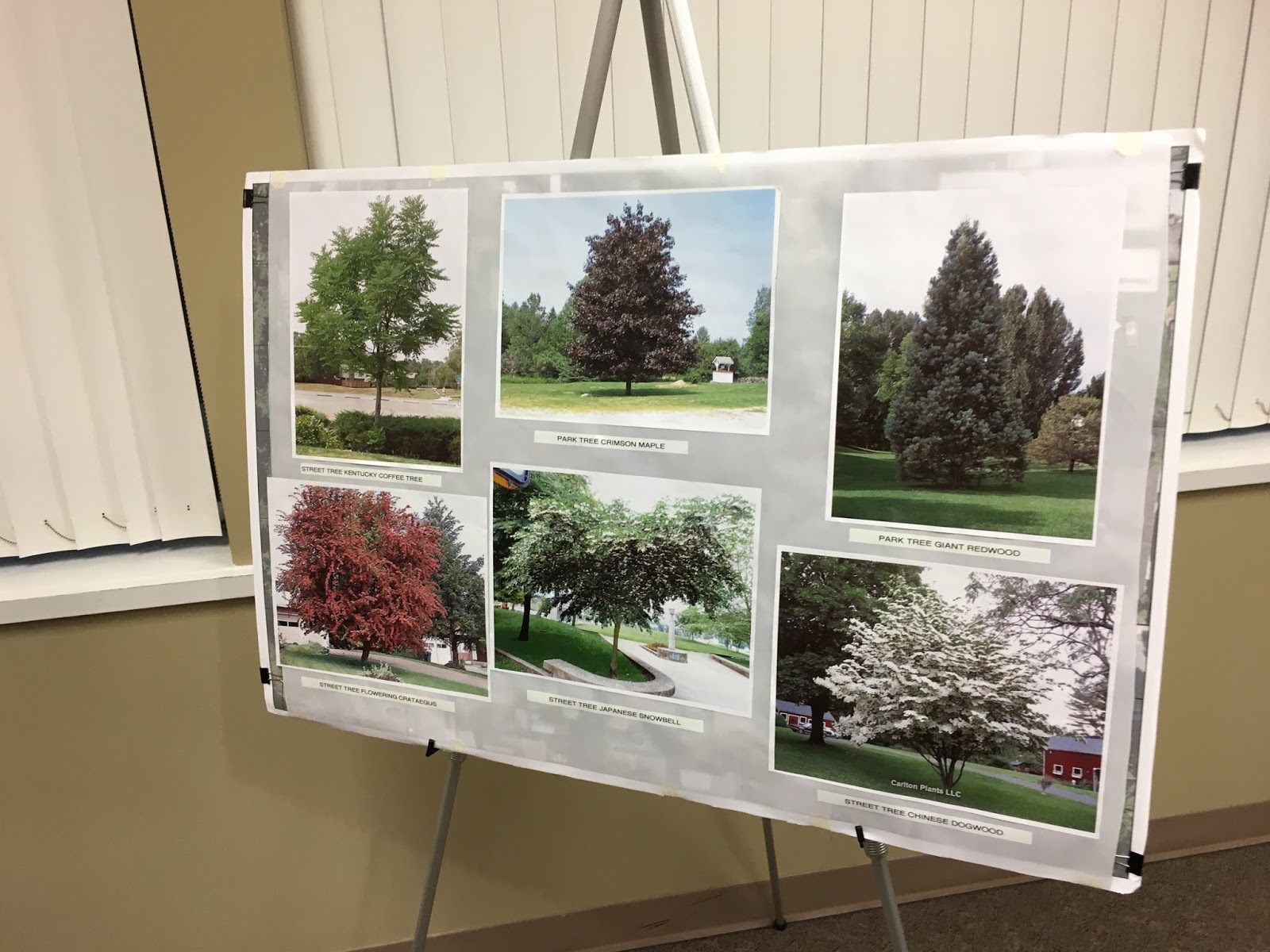 The South Fraser Blog: Hunter Park restoration moves forward